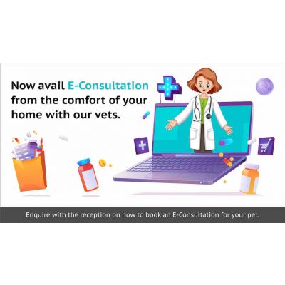 E-Consultation